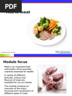 Chemical Composition and Structure of Meat | PDF | Connective Tissue ...