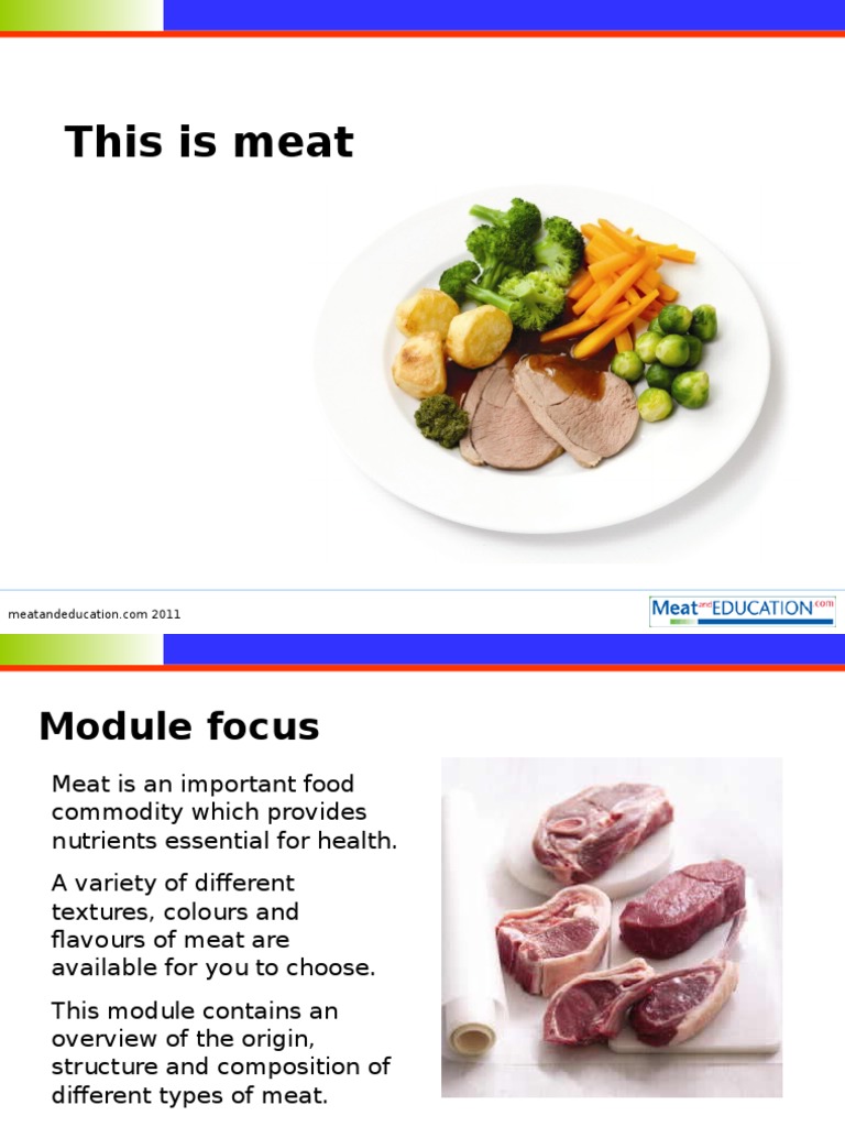 TLE10-This is Meat | Meat | Collagen