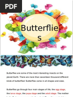 5 The Life of A Butterfly Grade 3 Comprehension Worksheet | PDF ...