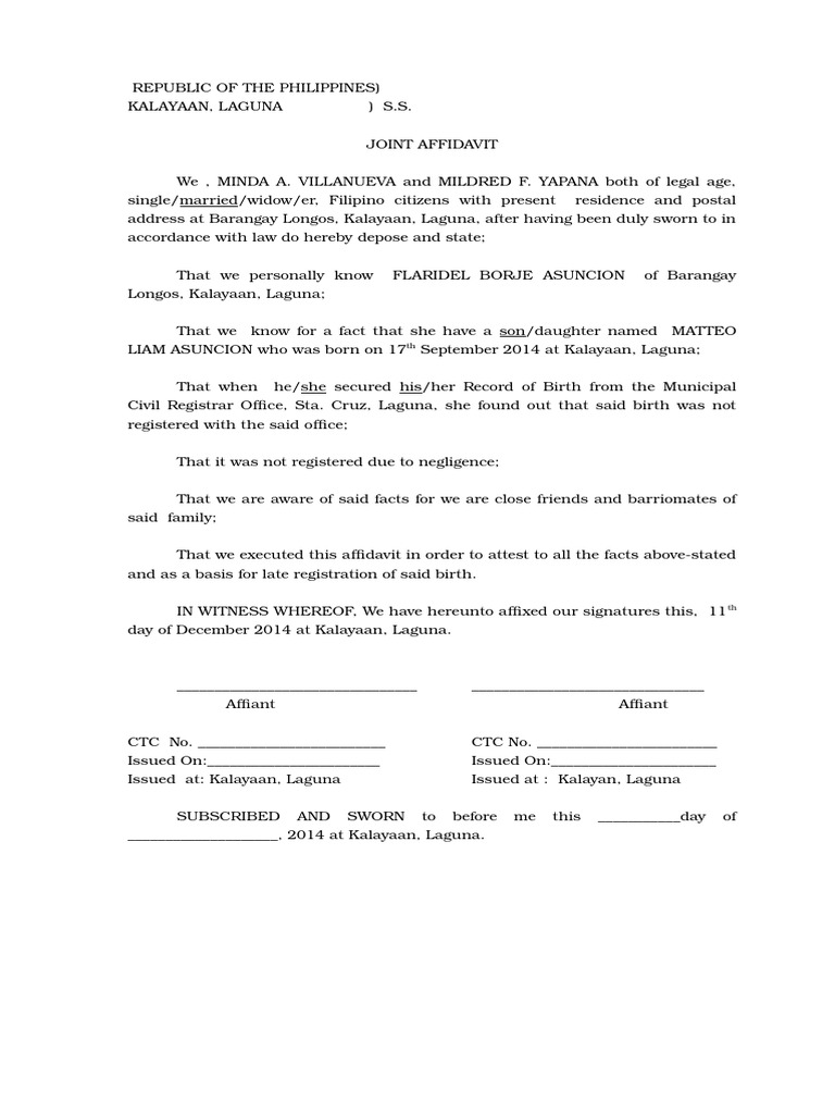 Joint Affidavit | Affidavit | Official Documents