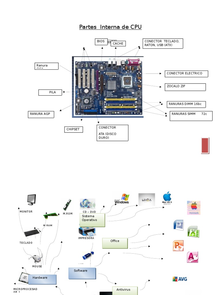 Mapa Cpu | PDF | Microcomputadoras | Hardware de la computadora