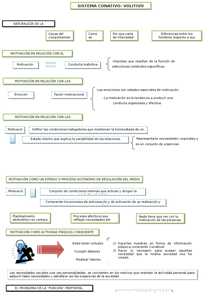 Sistema Conativo | PDF | Lóbulo frontal | Memoria