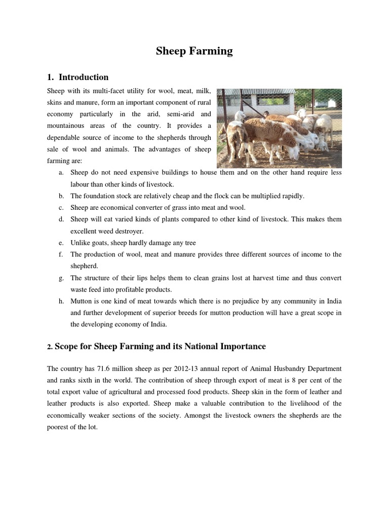 Sheep Farming | Sheep | Loans