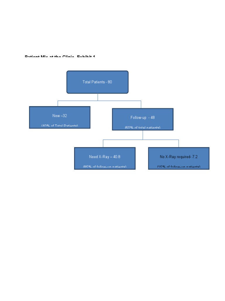 Patient Mix at The Clinic-Exhibit 1: Total Patients - 80 | PDF