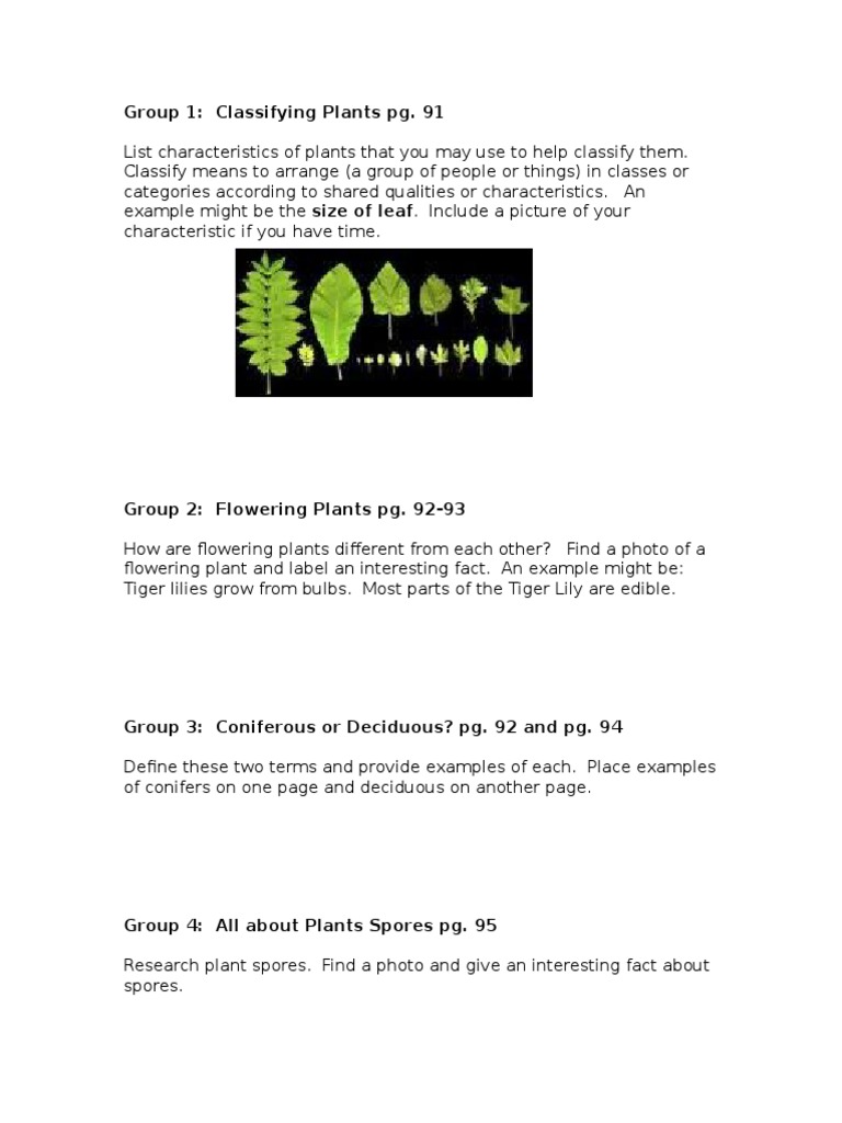 Plant Classification and Characteristics Guide | PDF | Lilium | Pinophyta