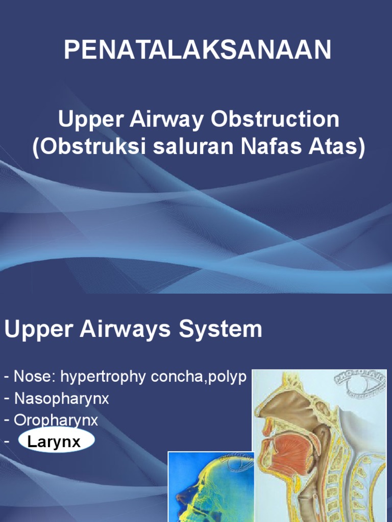 Upper Airways Obstruction | Respiratory Tract | Respiration