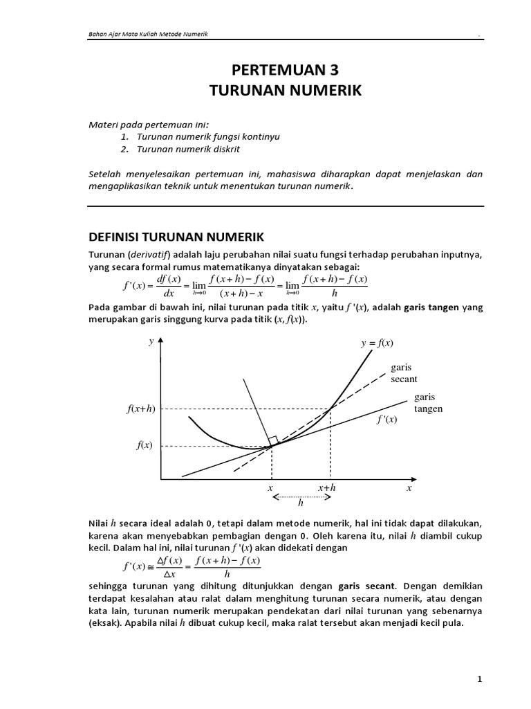 Turunan Numerik | PDF