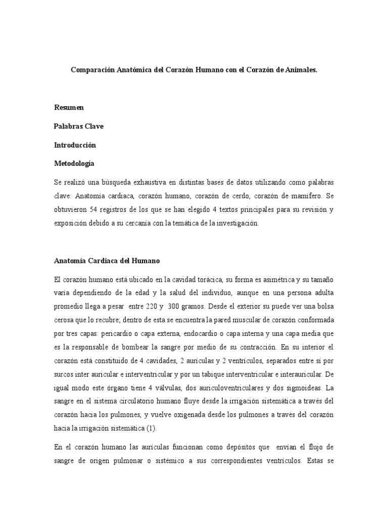 Comparación Anatómica Del Corazón Humano Con El Corazón de Animales ...