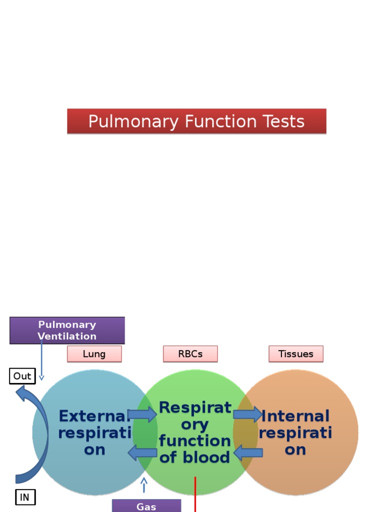 Pulmonary Function Tests | PDF | Exhalation | Lung