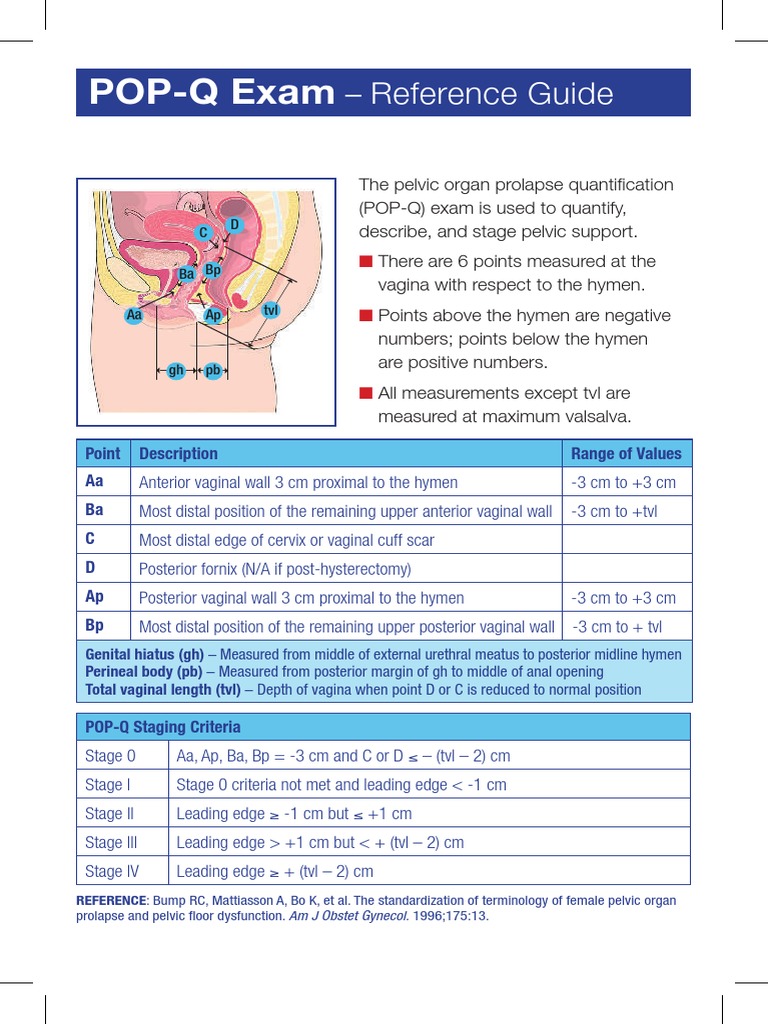 Pop Q | PDF | Teaching Methods & Materials | Wellness