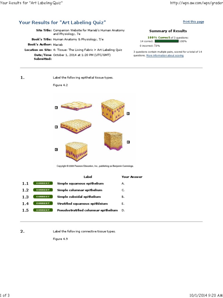 CH 4 & 5 Quiz Q & A From Site PDF | PDF | Epithelium | Skin