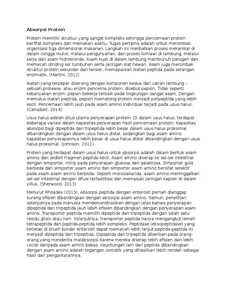Absorpsi Protein Dengan Sitasi | PDF