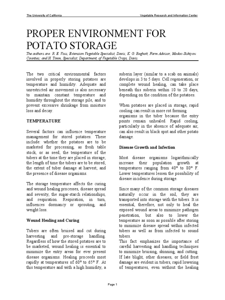 Potato Storage | PDF | Potato | Vegetables