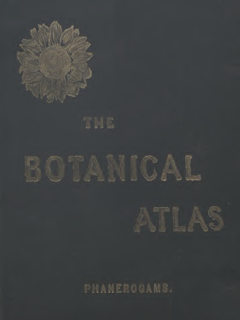 The Botanical Atlas | Download Free PDF | Seed | Petal