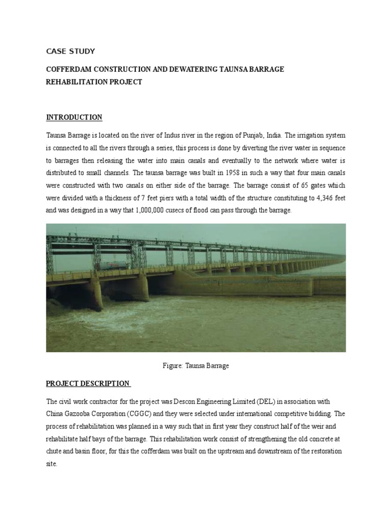 CASE STUDY.docx | River | Dam