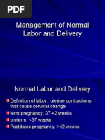 WHO Labour Care Guide | PDF | Childbirth | Human Pregnancy