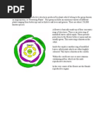 Rose Flower Anatomy and Functions | PDF