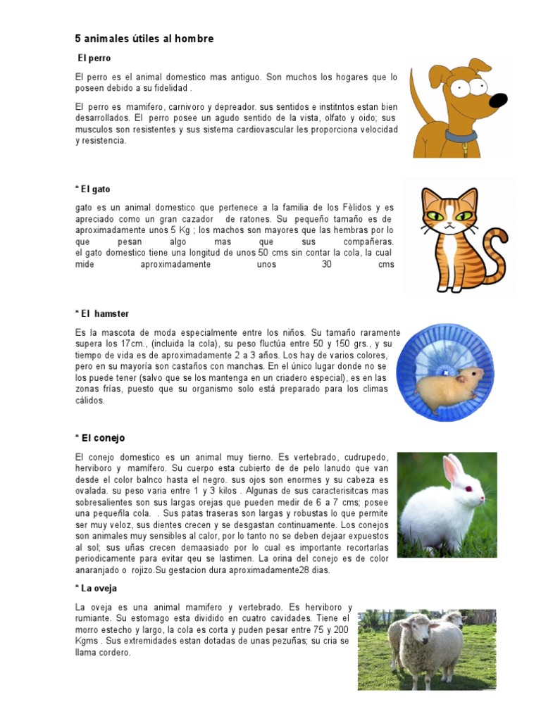 5 Animales Útiles Al Hombre | PDF | Perros | Gatos