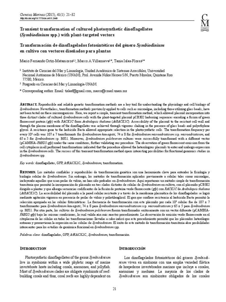 Tmp91e7 TMP | PDF | Biología Molecular | Química