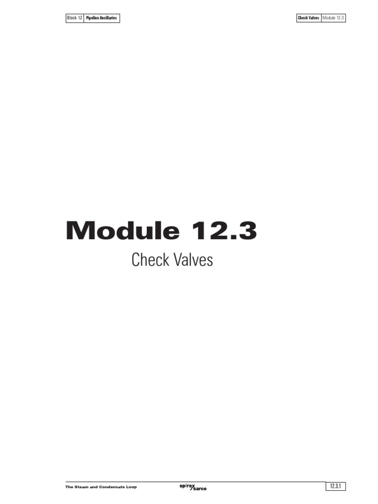 NRV Philosophy and Application | PDF | Valve | Flow Measurement