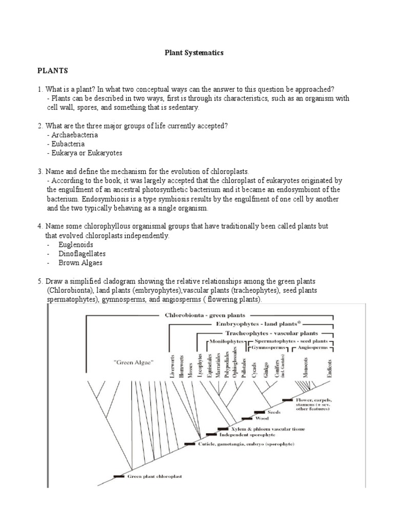 Plant Systematics | PDF | Phylogenetic Tree | Taxonomy (Biology)