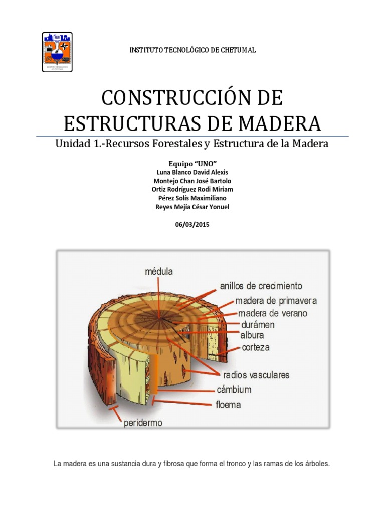 Composición y Estructura de La Madera (En Ingenieria Civil) | PDF ...