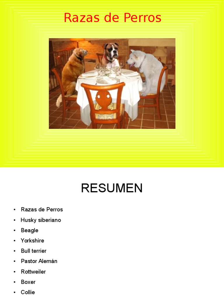 Razas de Perros: Características y Cuidados | PDF | Collie | Buldog