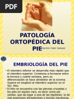 Pie Talo, Pie Varo, Valgo, y Pie Plano | PDF | Pie | Tobillo