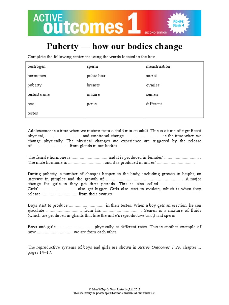 How Our Bodies Change | PDF