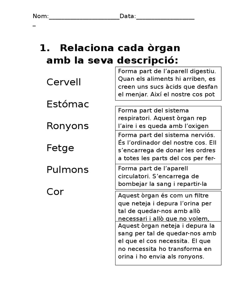Els Òrgans Del Cos Humà | PDF
