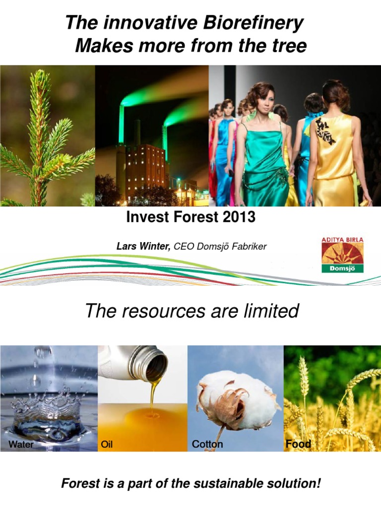 Invest in Forest | PDF | Pulp (Paper) | Biorefinery