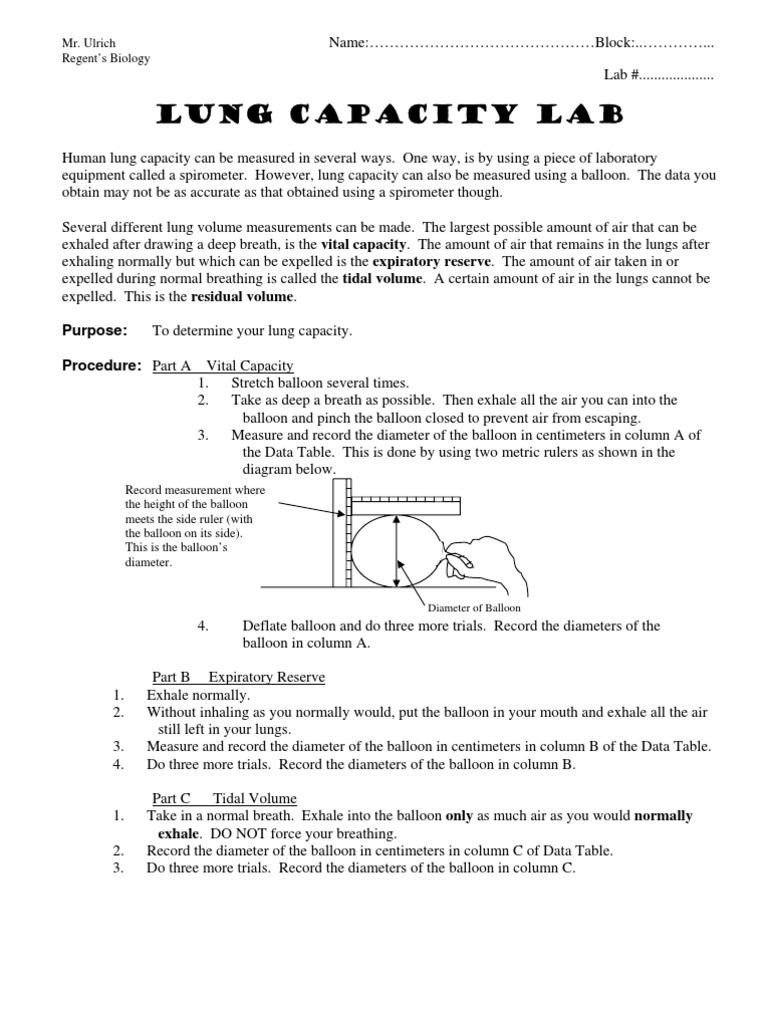Lab Lung Capacity | PDF | Exhalation | Volume
