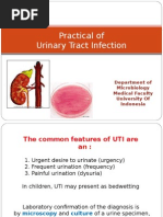 Urine Culture Interpretation Guidelines | PDF | Colony Forming Unit ...