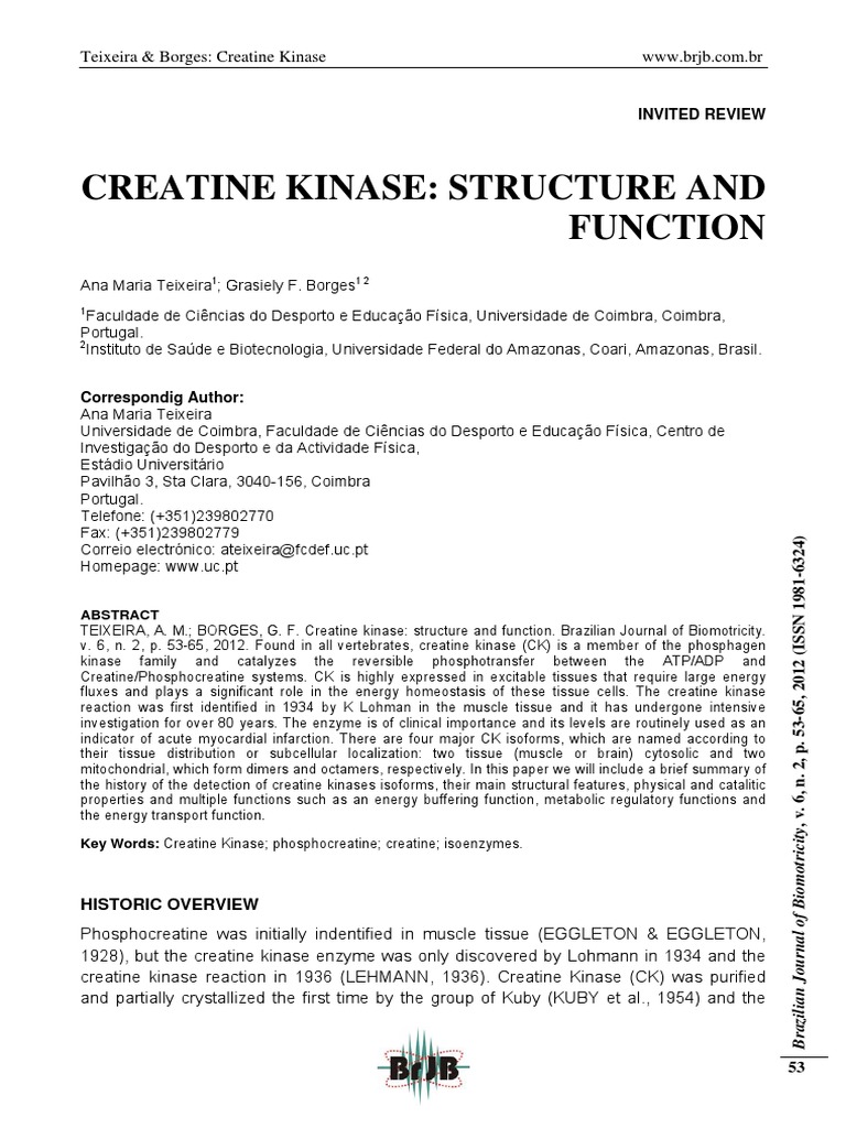 Creatine Kinase: Structure & Function | PDF | Adenosine Triphosphate ...