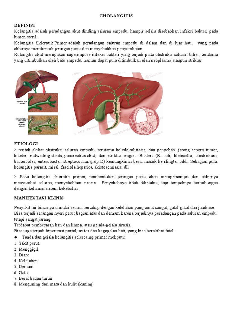 Definisi dan Patofisiologi Kolangitis | PDF | Sains & Matematika