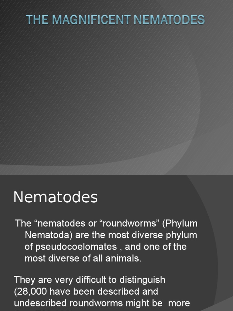 The "Nematodes or "Roundworms" (Phylum Nematoda) Are | PDF | Nematode ...