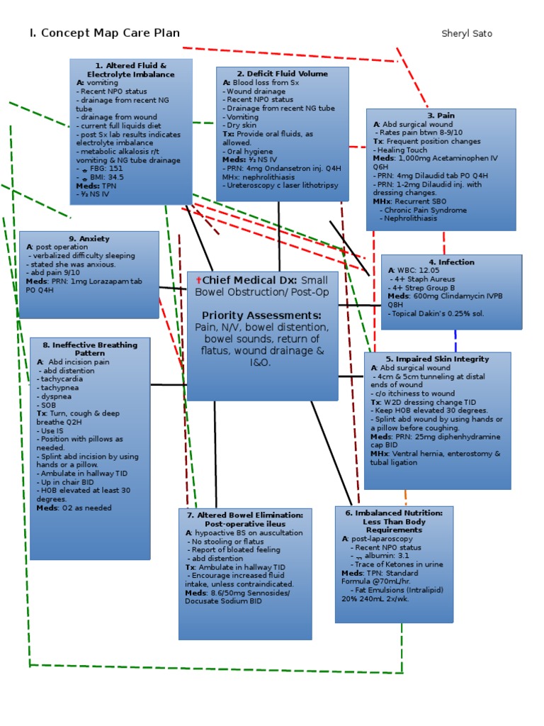 n360 Concept Map Care Plan Week 3 Sheryl Sato | PDF | Dietary Fiber ...