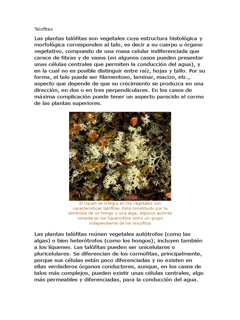 Ejemplos y características de talofitas | PDF | Método científico | Plantas
