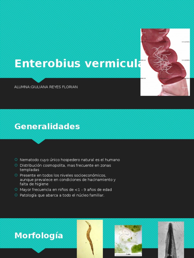 Enterobius vermicularis | Enfermedades y trastornos | Salud pública
