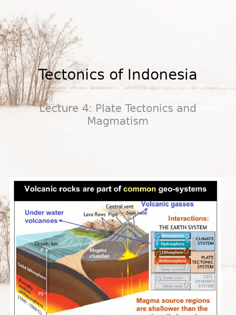 Tectonics of Indonesia: Lecture 4: Plate Tectonics and Magmatism | PDF ...