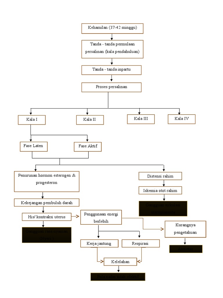 Pathway Kala 1 | PDF | Kesehatan Holistik
