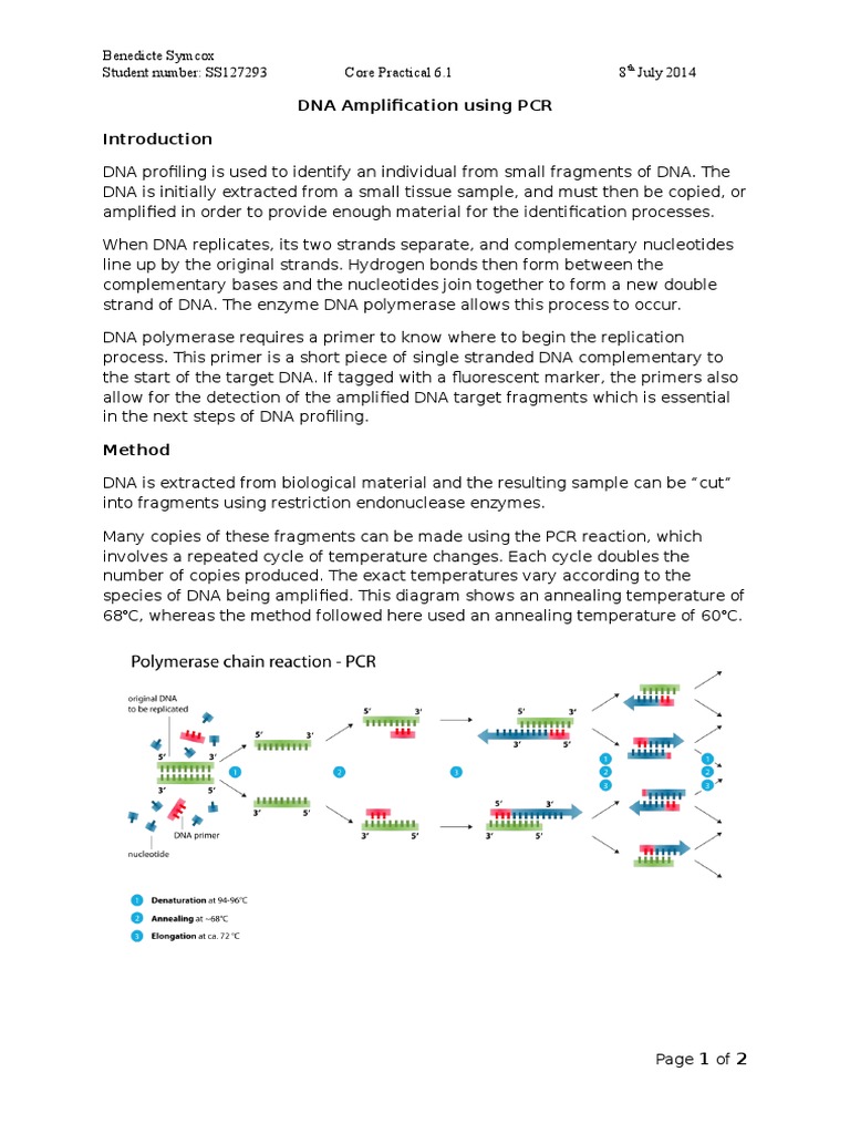 Biology Core Practical 6.1 DNA Amplification Using PCR | Download Free PDF | Polymerase Chain ...