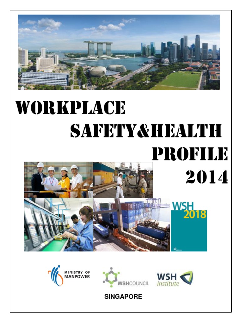 WSH Profile 2014 by Mom | PDF | Occupational Safety And Health | Employment