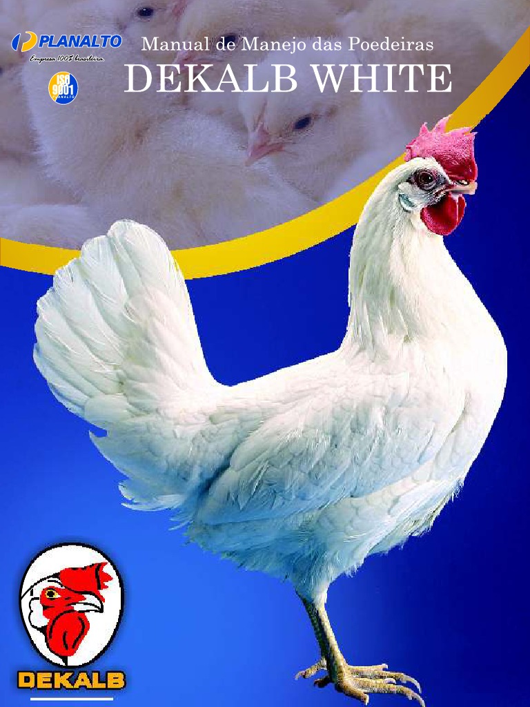 Manual Dekalb White PDF | PDF | Aves | Aminoácido