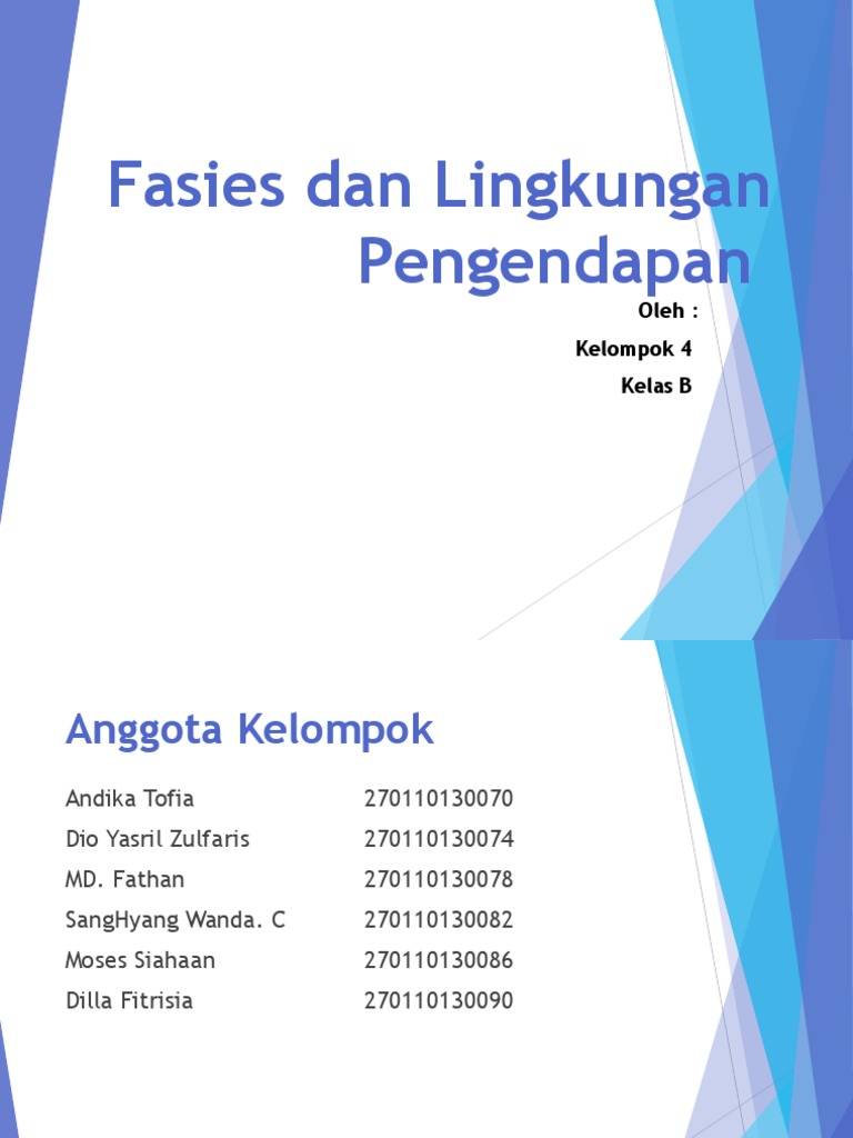 Lingkungan Pengendapan Dan Fasies | PDF
