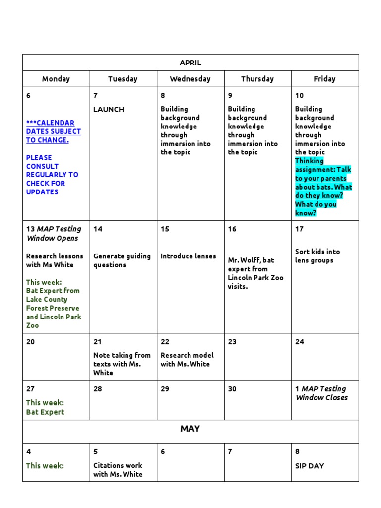 April Bat Study & Activities Calendar | PDF