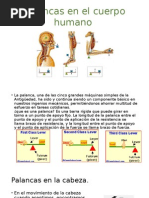 Biomecanica Sistema de Palancas Que Es Tipos y Conceptos Basicos | PDF ...