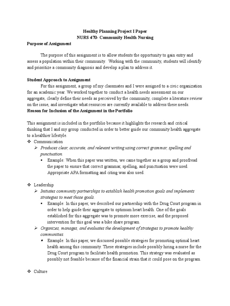 Community Health Nursing Project Overview | PDF | Health Care | Health ...