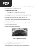 Buku Odontogram | PDF