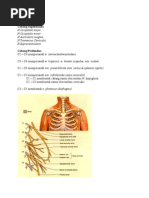 Gans Sensory Organization Performance (SOP) Test | PDF | Vertigo ...